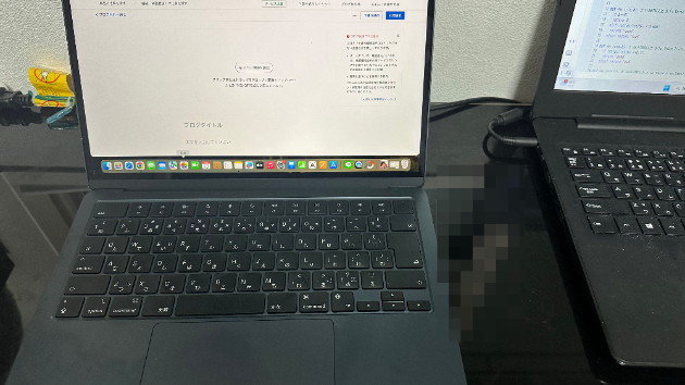 はじめましてPararira (パラリラ)と申します！｜Pararira｜coconalaブログ